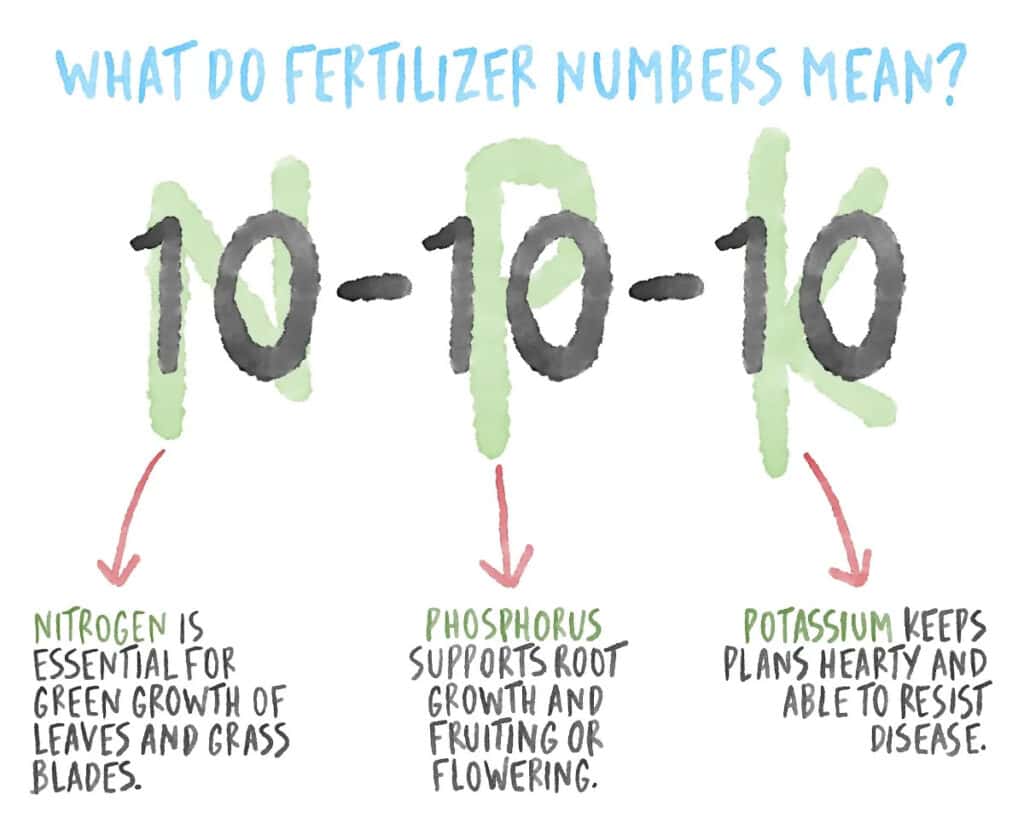 Fertilizer Numbers Explained Topsy Gardening
