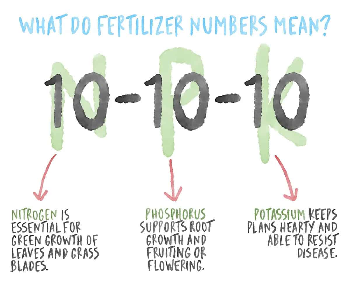 Fertilizer Numbers Explained Topsy Gardening