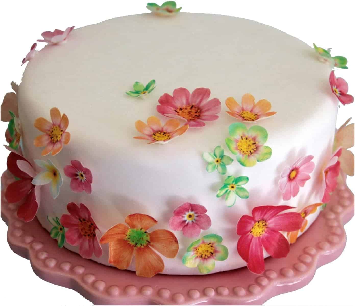 25 Edible Flowers For Cakes - Topsy Gardening