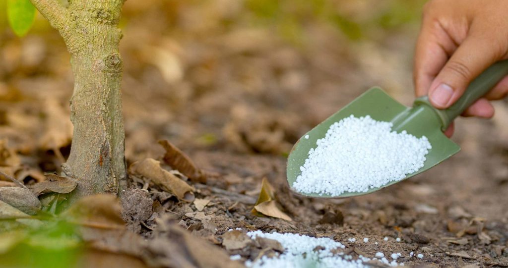 Fertilizer Numbers Explained - Topsy Gardening